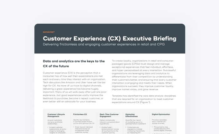 Customer Experience Executive Briefing